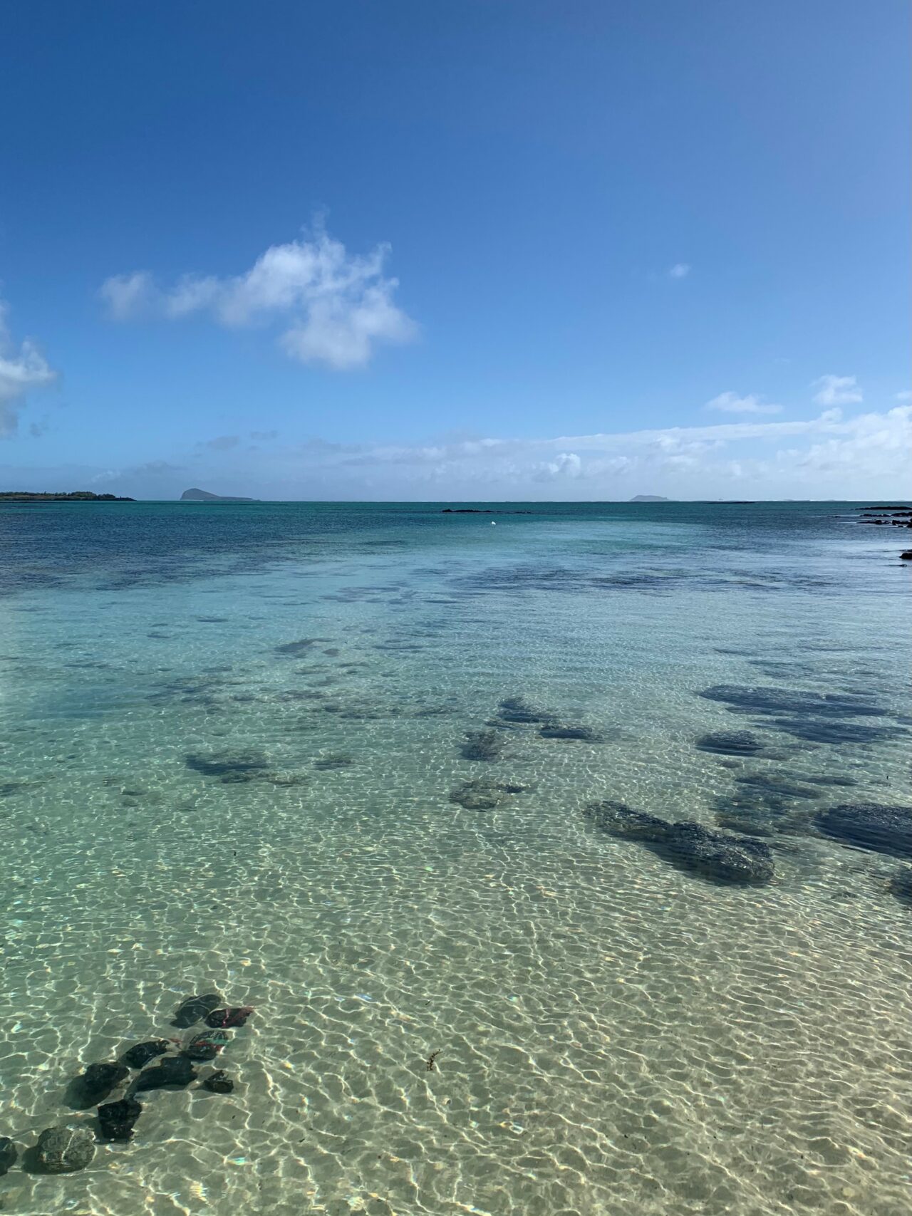 Un dimanche 100% nature sur l’îlot Bernache - Enjoy Maurice