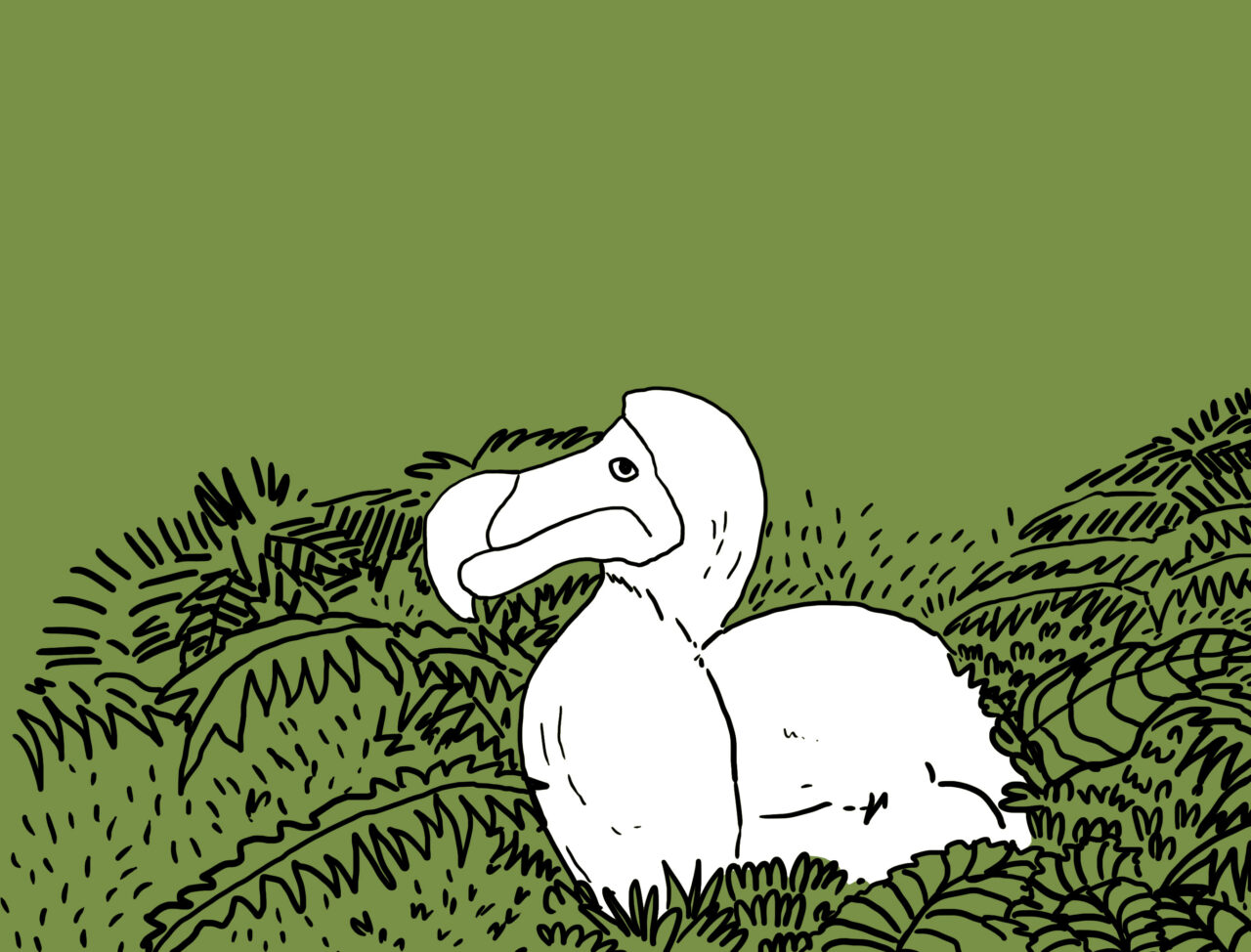 Discover the True Story of the Dodo from Mauritius - Enjoy Maurice